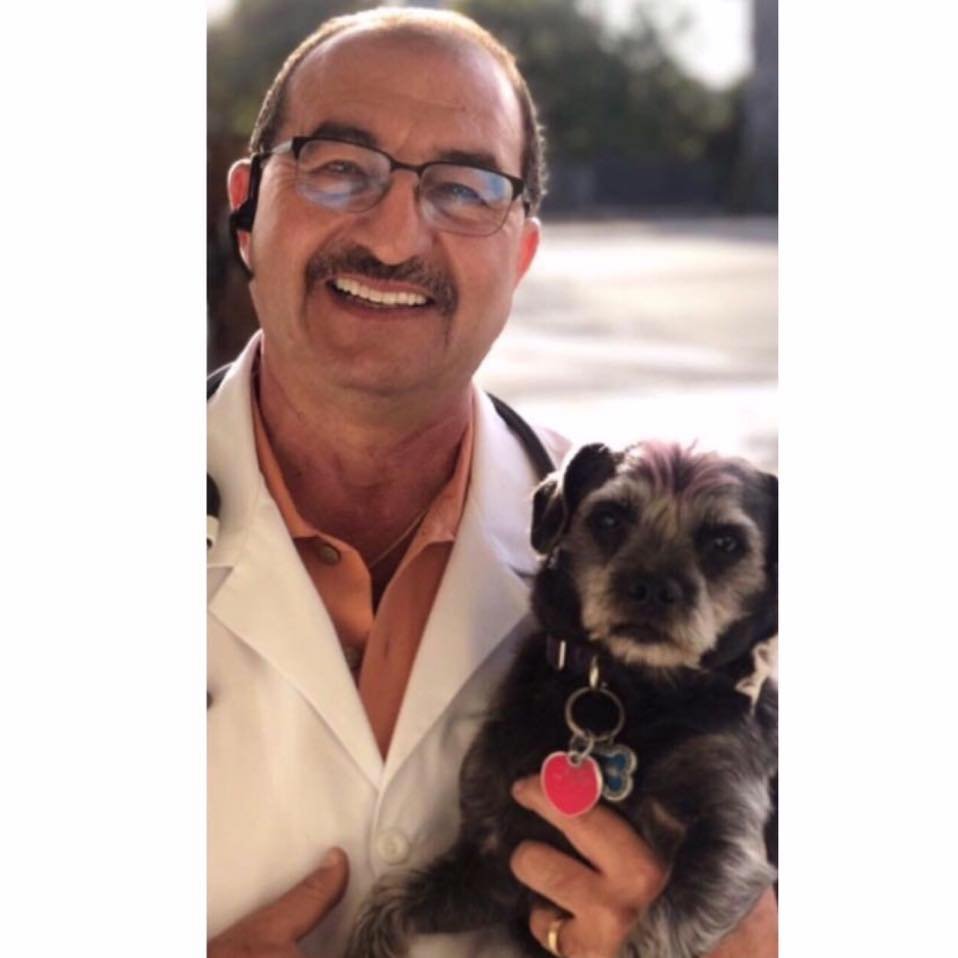 ALTA LOMA ANIMAL HOSPITAL - Updated October 2025 - 152 Photos & 382 ...