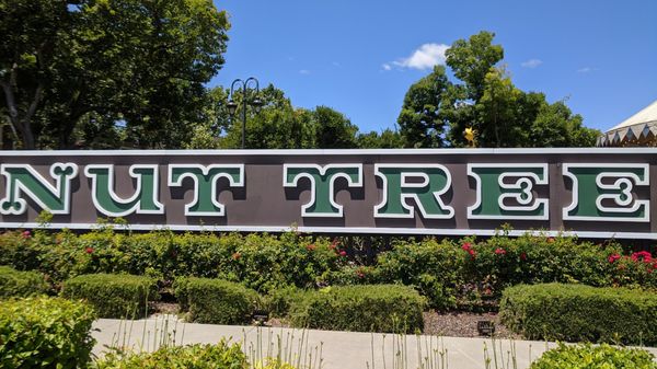 NUT TREE - Updated December 2025 - 299 Photos & 134 Reviews - 1661 E ...