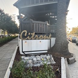 CITRONE ITALIAN CHOPHOUSE - Updated October 2025 - 652 Photos & 530 ...