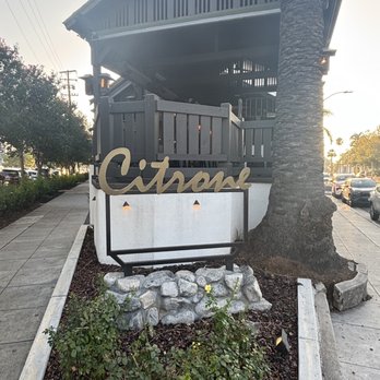 CITRONE ITALIAN CHOPHOUSE - Updated January 2025 - 426 Photos & 443 ...