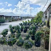 ISAAC FARMS - 446 Photos & 105 Reviews - 18800 SW 177th Ave, Miami, FL ...