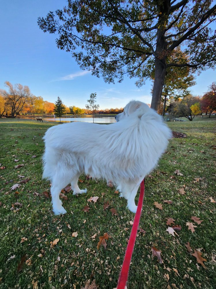 HUMAN RESOURCE ASSOCIATES - DR. MICHAEL FIELDS, PHD - Updated July 2025 ...