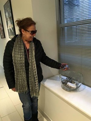 MOADEL EYE SPECIALISTS OF NEW YORK - Updated October 2025 - 50 Photos ...