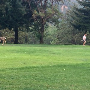 ENZIAN FALLS CHAMPIONSHIP PUTTING COURSE - 23 Photos - 315 Commercial ...