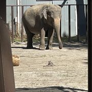 TWO TAILS RANCH - 98 Photos & 72 Reviews - Zoos - 18655 NE 81st St ...