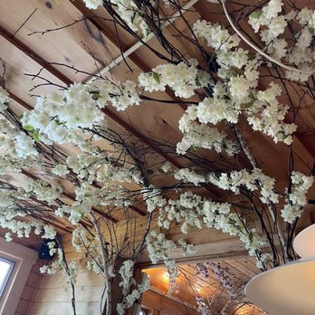 NEW SCENIC CAFE - Updated July 2025 - 451 Photos & 385 Reviews - 5461 N ...