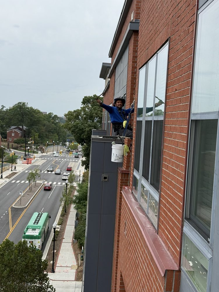 SPARKLE WINDOWS - Updated January 2026 - 20 Photos - 41 Bickel Ct ...