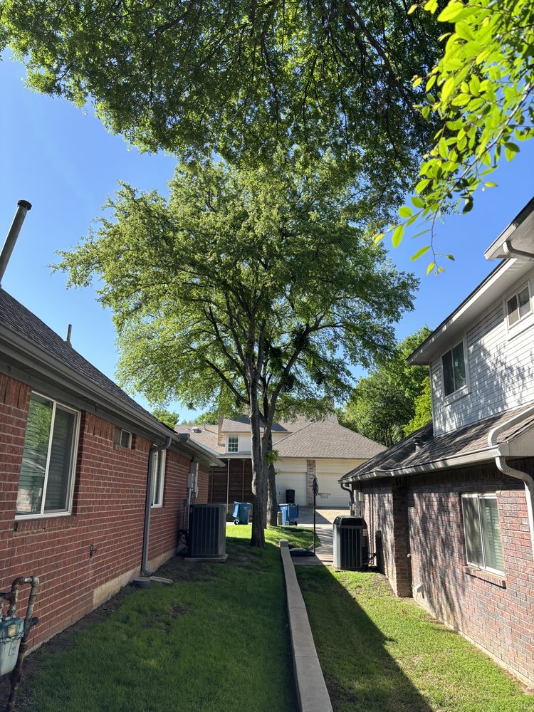 ELEVATED TREE CARE - Updated June 2025 - 11 Photos - Lewisville, Texas ...