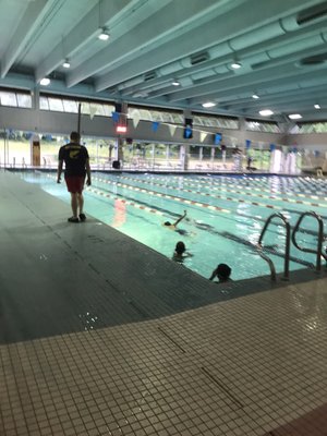 SPRING HILL RECENTER - Updated August 2024 - 10 Photos & 30 Reviews ...