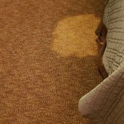 INNS OF KEESLER KEESLER AFB - 17 Photos & 12 Reviews - Hotels - Fisher ...