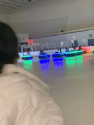 BOCA ICE & FINE ARTS CENTER - 10 Photos & 17 Reviews - 900 Peninsula ...