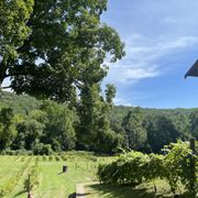 TORNE VALLEY VINEYARDS - 208 Photos & 135 Reviews - 1 Torne Brook Rd ...