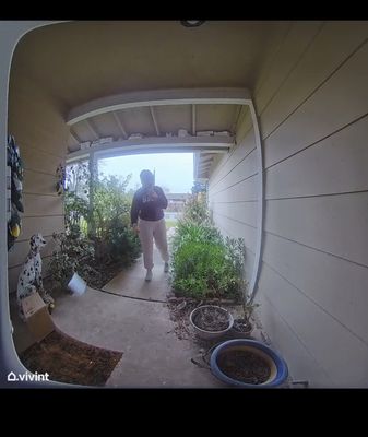 GOFO EXPRESS - Updated December 2025 - 29 Photos & 189 Reviews ...