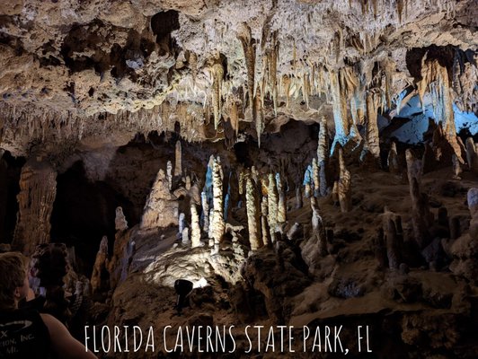 FLORIDA CAVERNS STATE PARK - Updated September 2025 - 476 Photos & 173 Reviews - 3345 Caverns Rd ...