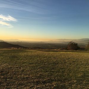 SYCAMORE HIGHLAND - 87 Photos & 43 Reviews - Fair Isle Dr, Riverside ...