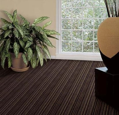 PREMIER CARPET & FLOORING - Updated January 2026 - 421 Photos & 16 ...