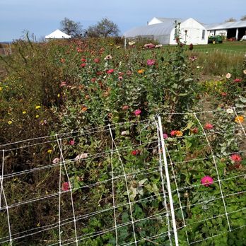 JONES FARM & COUNTRY STORE - Updated December 2025 - 288 Photos & 190 ...