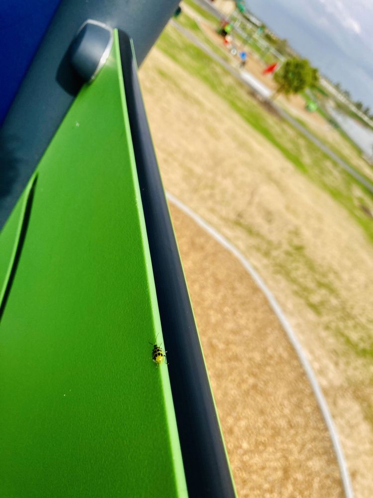 PAUL D. RUSHING PARK - Updated June 2024 - 26 Photos & 10 Reviews ...