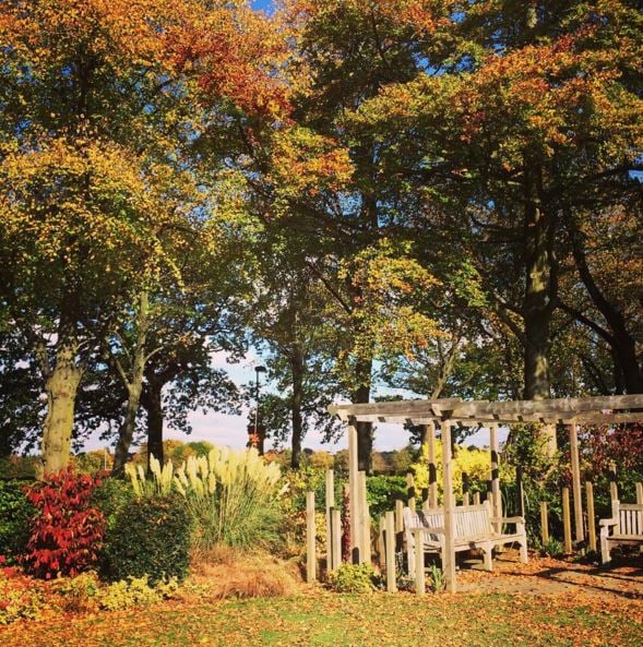 ROWHEATH PAVILION - Updated November 2025 - 16 Photos - Heath Road ...