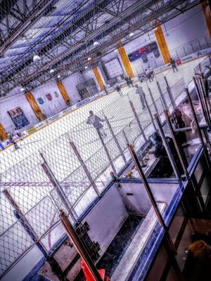 SHARKS ICE AT FREMONT - Updated October 2024 - 64 Photos & 92 Reviews ...