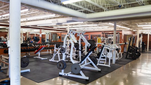 THE BEAST SPORTS CENTER - Updated August 2024 - 30 Photos - 206 College ...