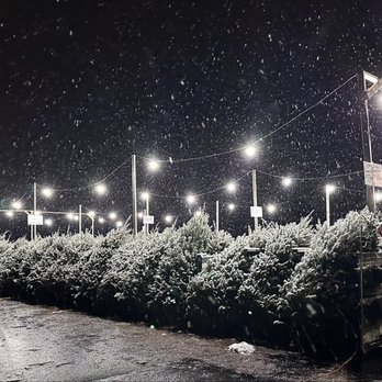 TANNER BROTHERS DAIRY - Updated December 2025 - 102 Photos & 166 ...