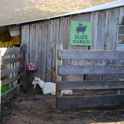 SLIDE RANCH - 93 Photos & 29 Reviews - Parks - 2025 Shoreline Hwy, Muir ...