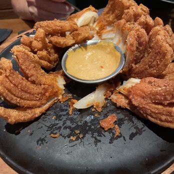 OUTBACK STEAKHOUSE - Updated July 2024 - 1038 Photos & 1090 Reviews ...