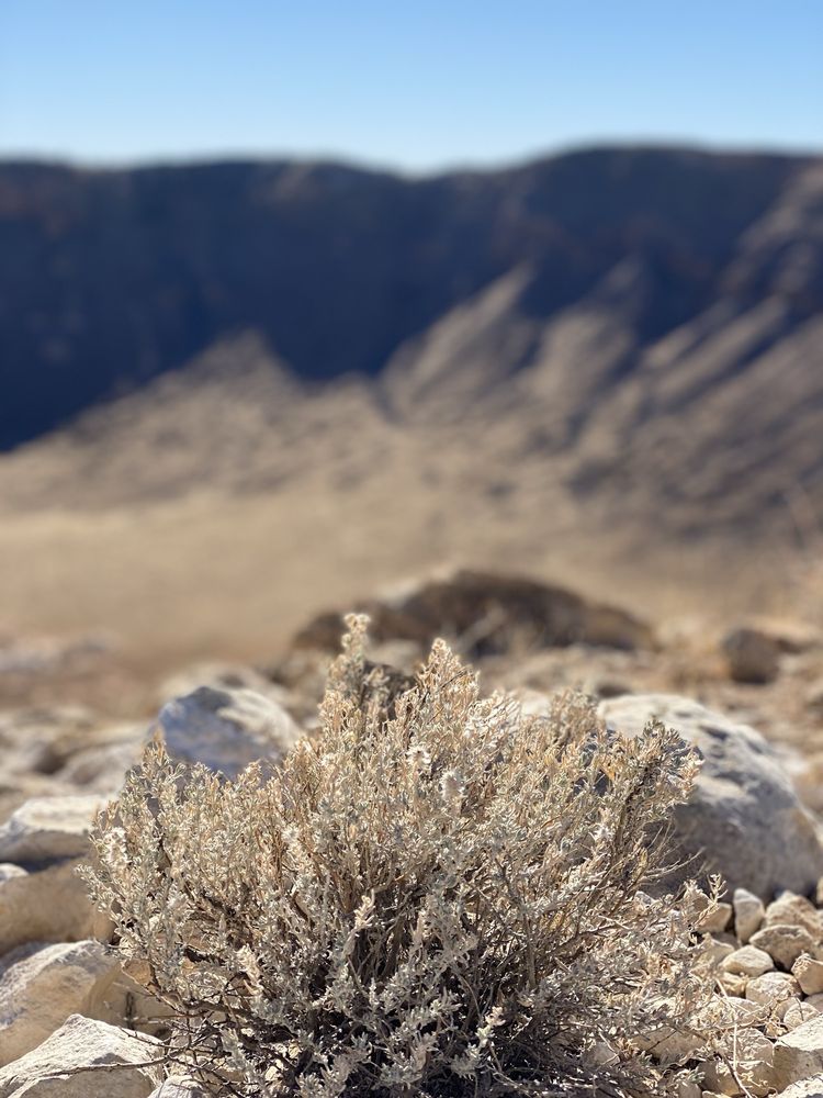 METEOR CRATER & BARRINGER SPACE MUSEUM - Updated December 2025 - 1386 ...