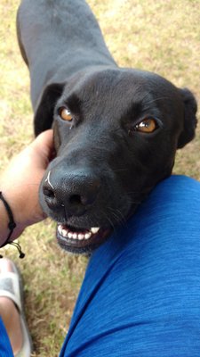 Oxford Ranch Campground - Trusted Since 2010 - Updated July 2025 - 18 ...