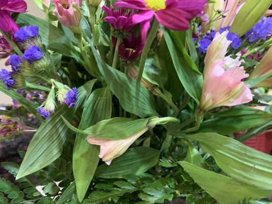 MIA FLOWERS - Updated August 2025 - 110 Photos & 48 Reviews - 6966 NW ...