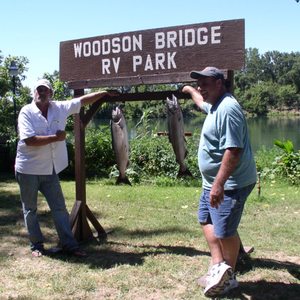 ALMOND TREE RV PARK - Updated July 2024 - 11 Photos & 45 Reviews - 3124 ...