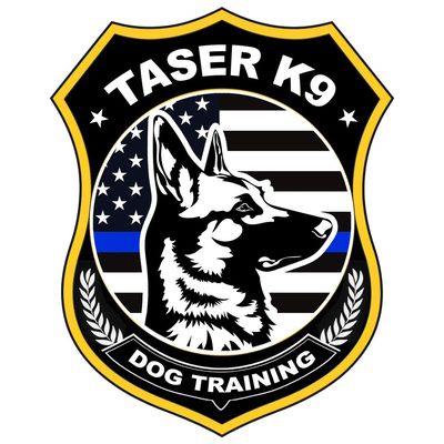 TASER K9 - Updated December 2025 - Hollywood, Florida - Pet Boarding ...