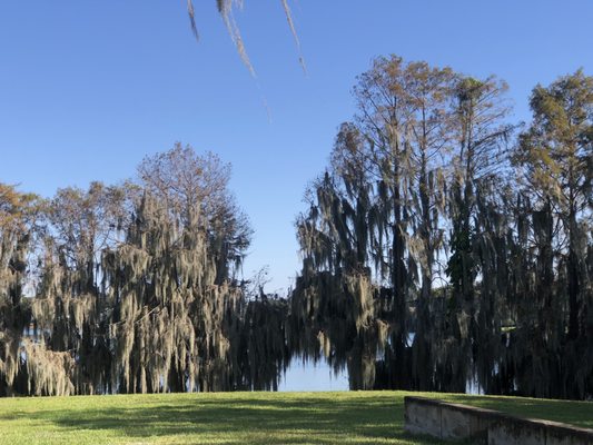 LAKE ROWENA PARK - 15 Photos - 1200 Lake Shore Dr, Orlando, Florida ...