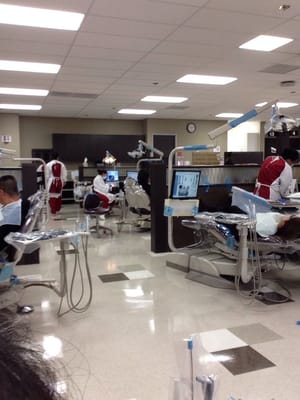 SJVC ONTARIO - Updated May 2024 - 21 Photos & 49 Reviews - 4580 Ontario ...