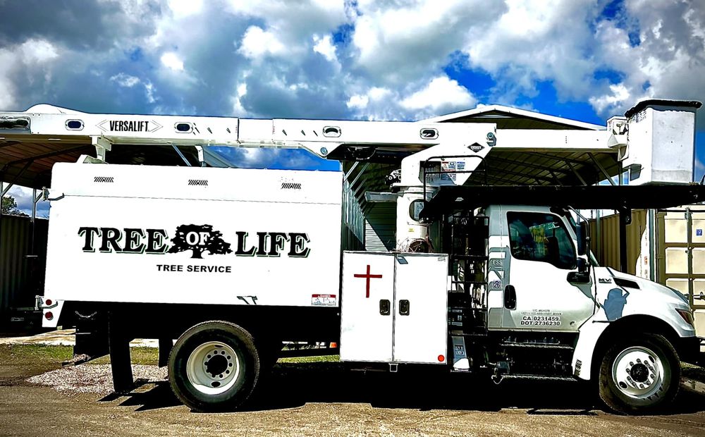 TREE OF LIFE - Updated January 2026 - 15 Photos & 14 Reviews - 1566 ...