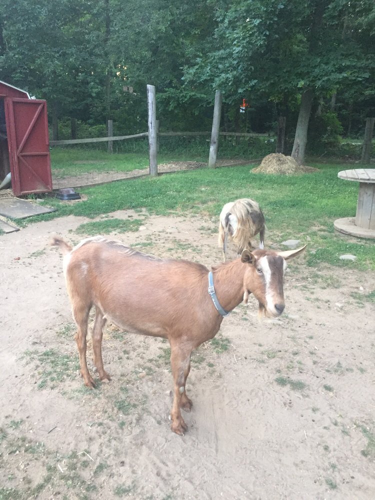 SALEM FARMS CAMPGROUND - 42 Photos & 14 Reviews - 39 Alexander Rd ...