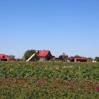 LARK RANCH - Updated October 2025 - 75 Photos & 45 Reviews - 1611 N ...