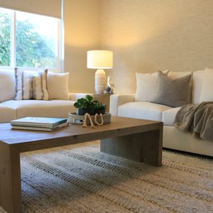 SHELLEY SASS DESIGNS - Updated December 2024 - 78 Photos & 12 Reviews ...