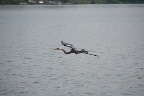 FLYING POINT MARINA - Updated December 2025 - 35 Photos - 324 Flying ...