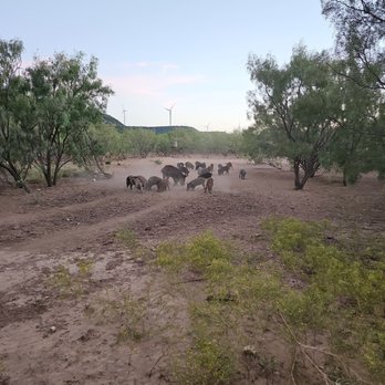 DOS PLUMAS HUNTING RANCH - Updated January 2026 - 64 Photos & 11 ...