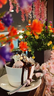 CABLE55 - Updated January 2026 - 172 Photos & 122 Reviews - 55 Cyril ...