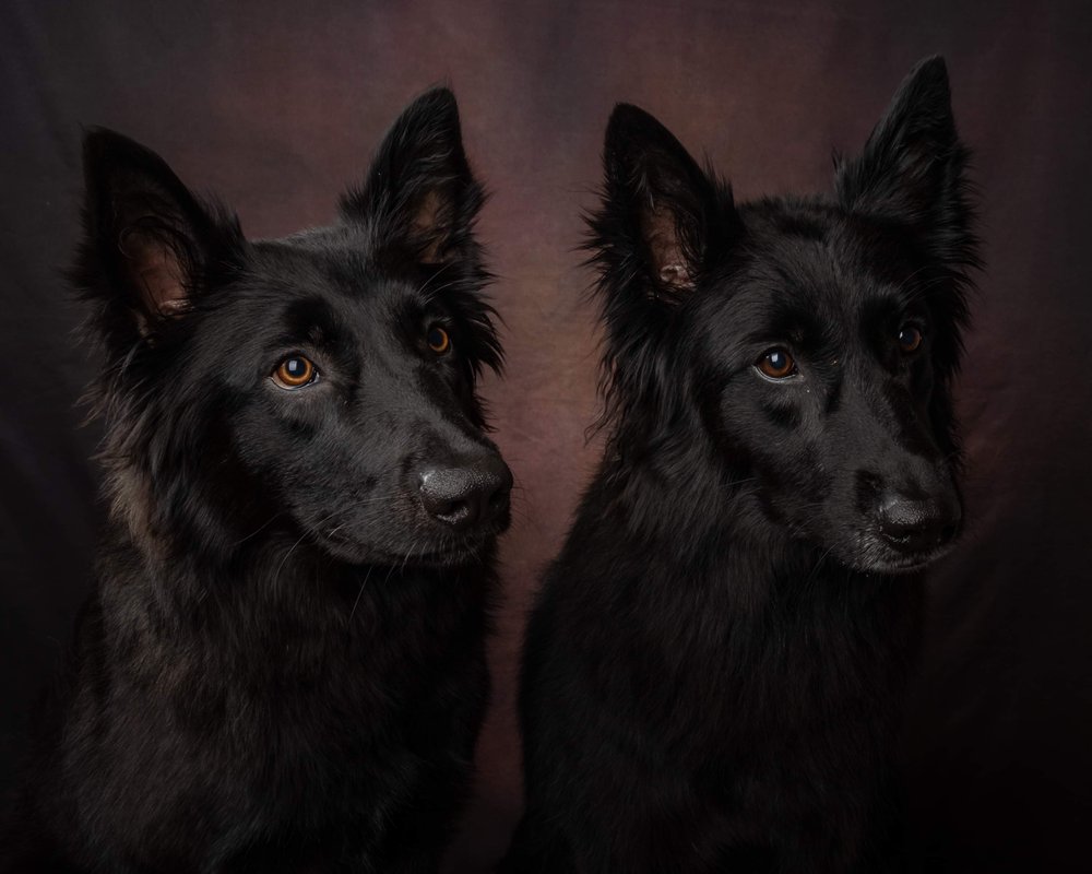 NANCY COLÓN PHOTOGRAPHY - Updated November 2024 - Request Information ...