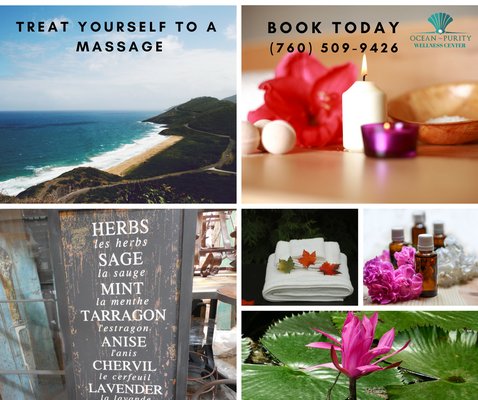 OCEAN PURITY WELLNESS CENTER - Updated May 2026 - 10 Photos - 2045 ...