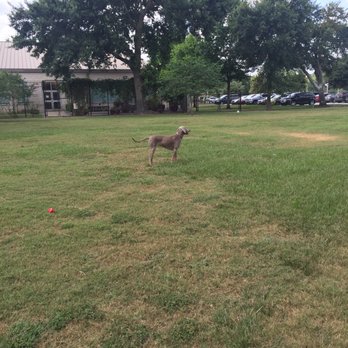 CITY OF KATY DOG PARK - Updated December 2025 - 48 Photos & 43 Reviews ...