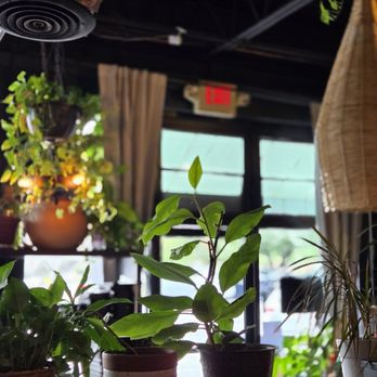 PAOLINO - Updated August 2025 - 223 Photos & 204 Reviews - 350 Mead Rd ...