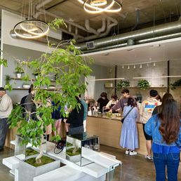 PROJECT MATCHA - Updated June 2025 - 91 Photos & 44 Reviews - 555 NE ...