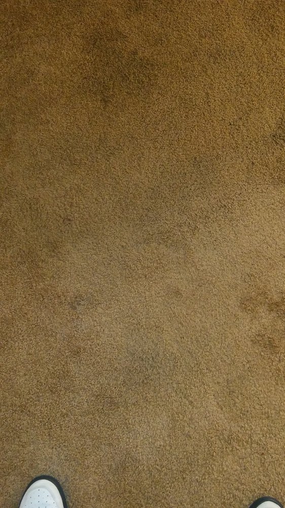WE CLEAN CARPET - 24 Reviews - Washington, District of Columbia ...