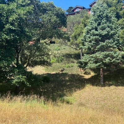 NATURE FRIENDS TOURIST CLUB - 97 Photos & 236 Reviews - 30 Ridge Ave ...