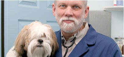 DICKSON ANIMAL CLINIC - Updated December 2025 - 29 Photos & 19 Reviews ...